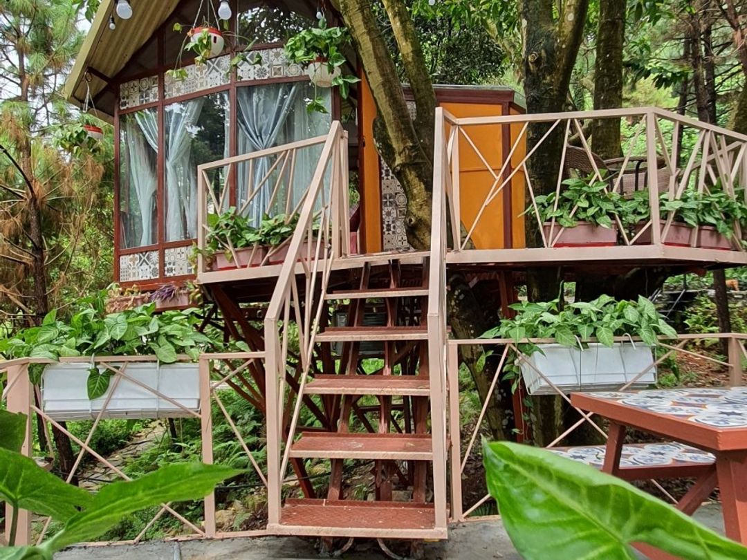 Ily Tree House, Sóc Sơn | Justfly.vn