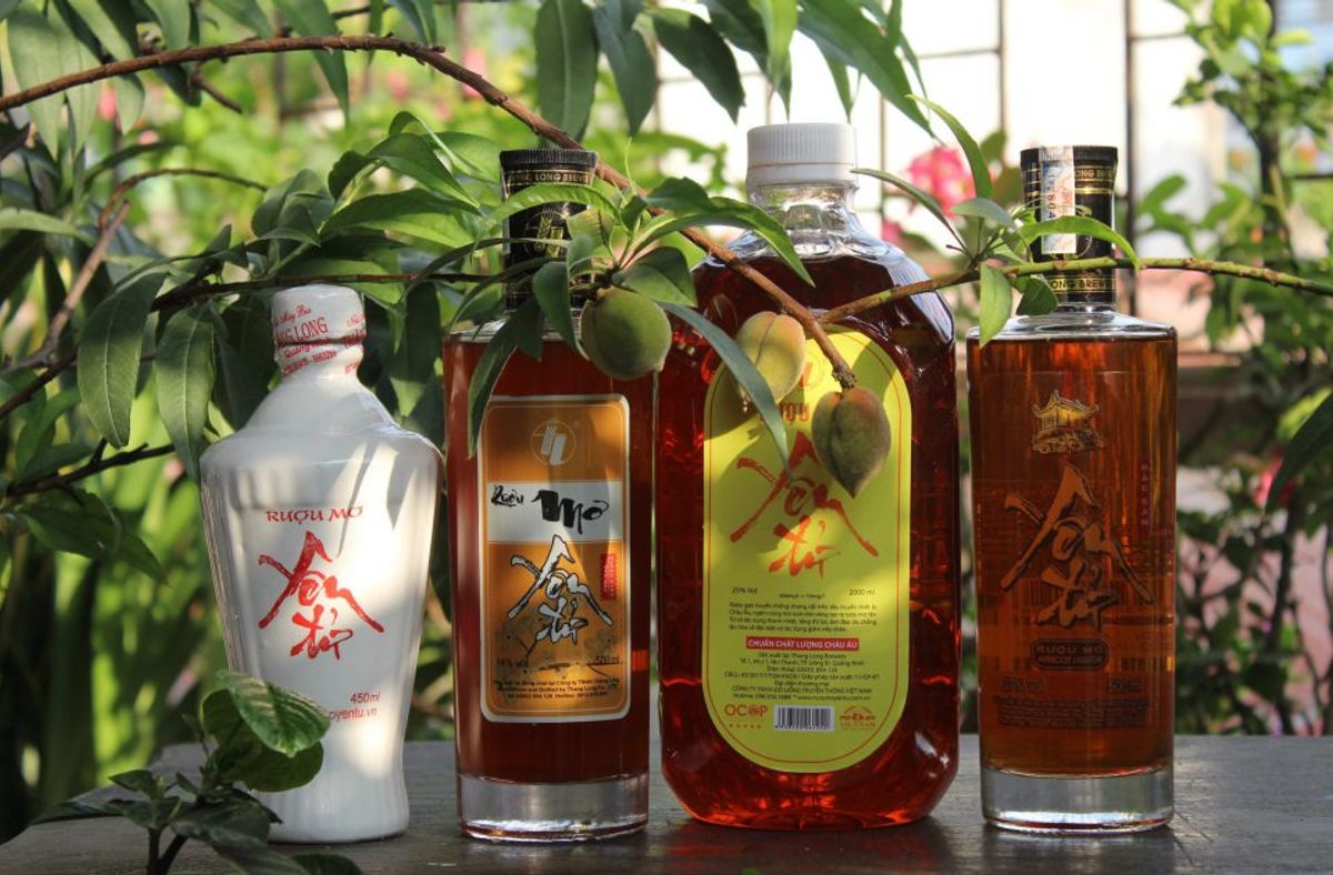 Yen Tu plum wine – Quang Ninh - Famous Specialty - VIETNAM DESTINATIONS