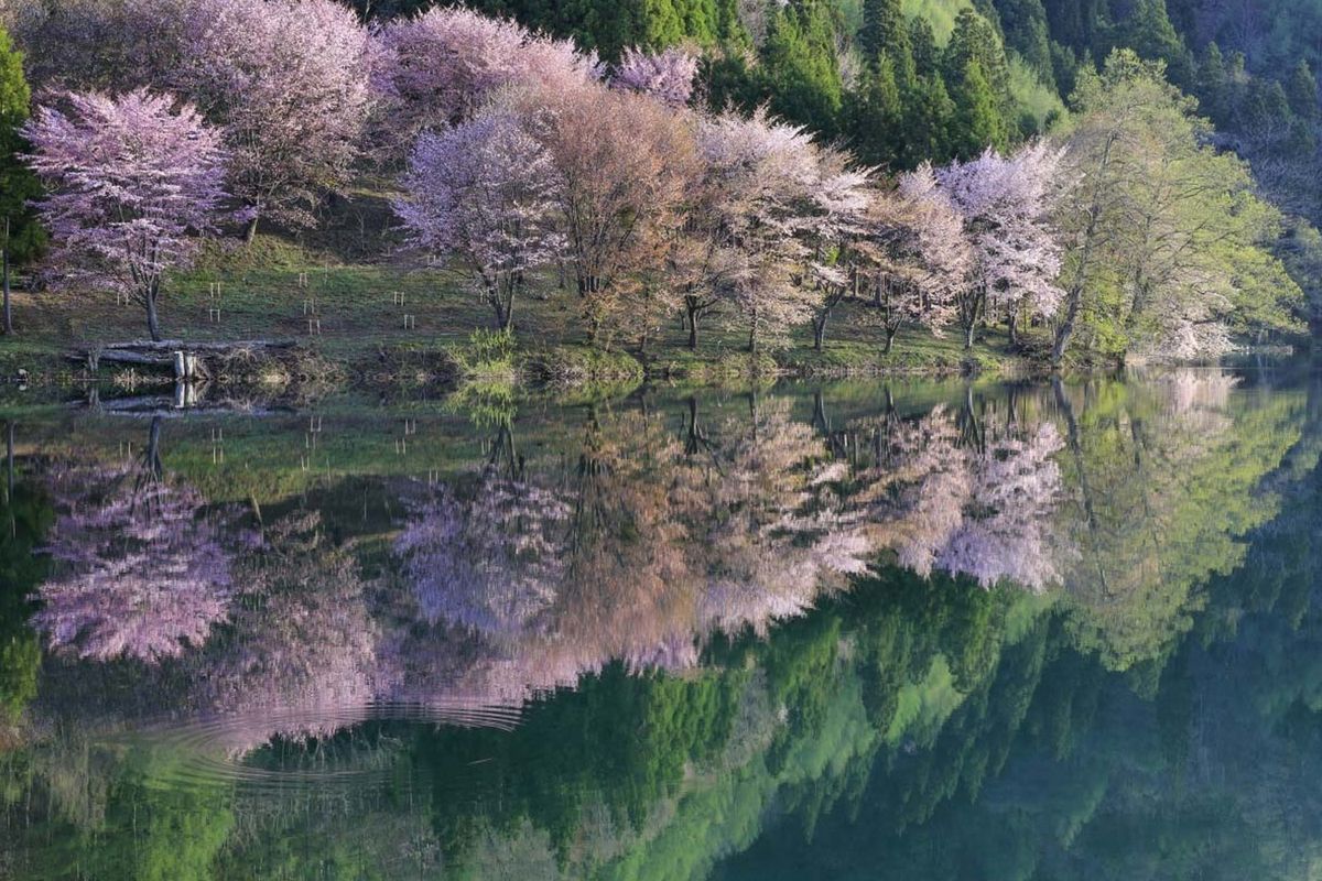 Top 15 địa điểm du lịch Nhật Bản vào mùa hè | Justfly.vn