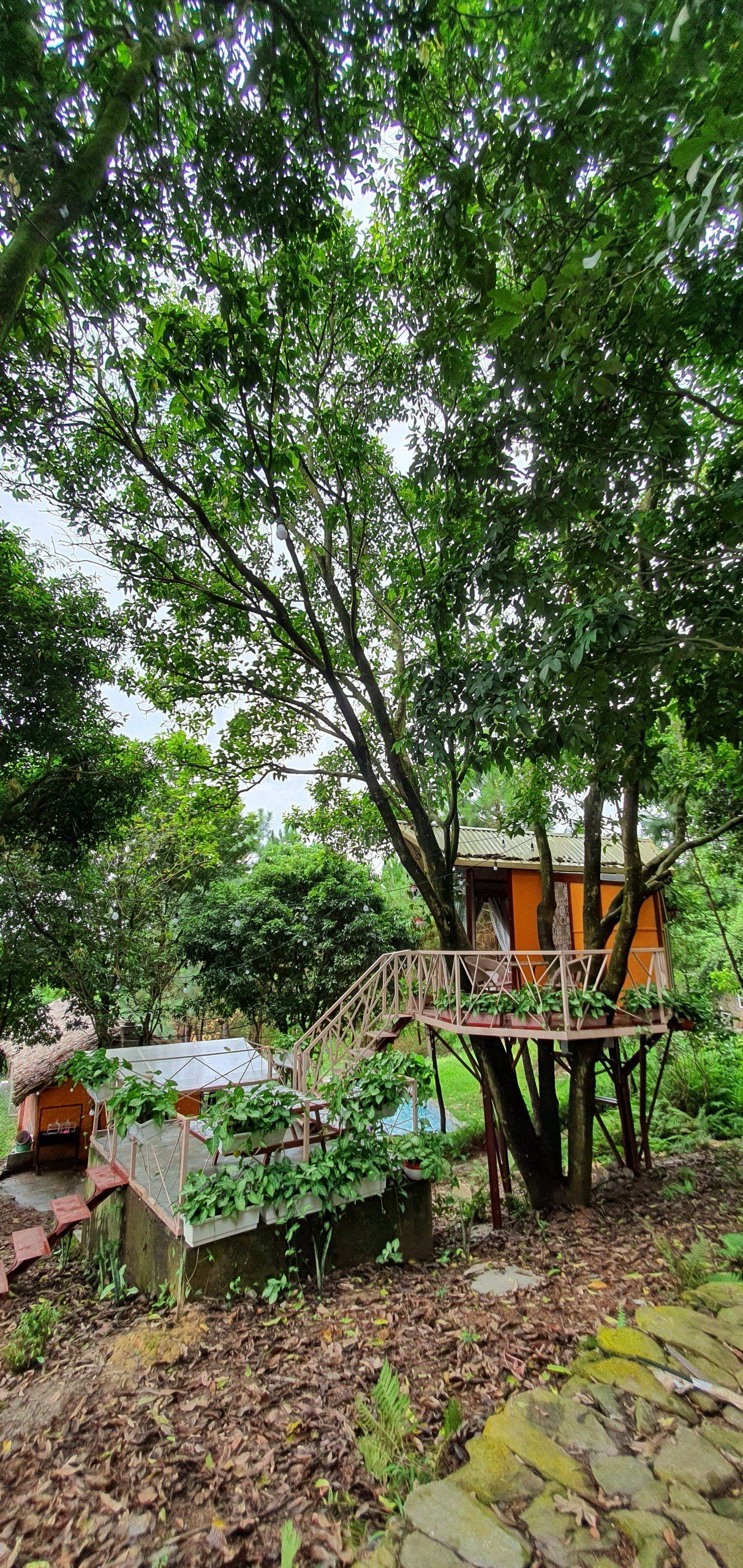 Ily Tree House - Aloha Valley, Sóc Sơn (Inactive) | Justfly.vn