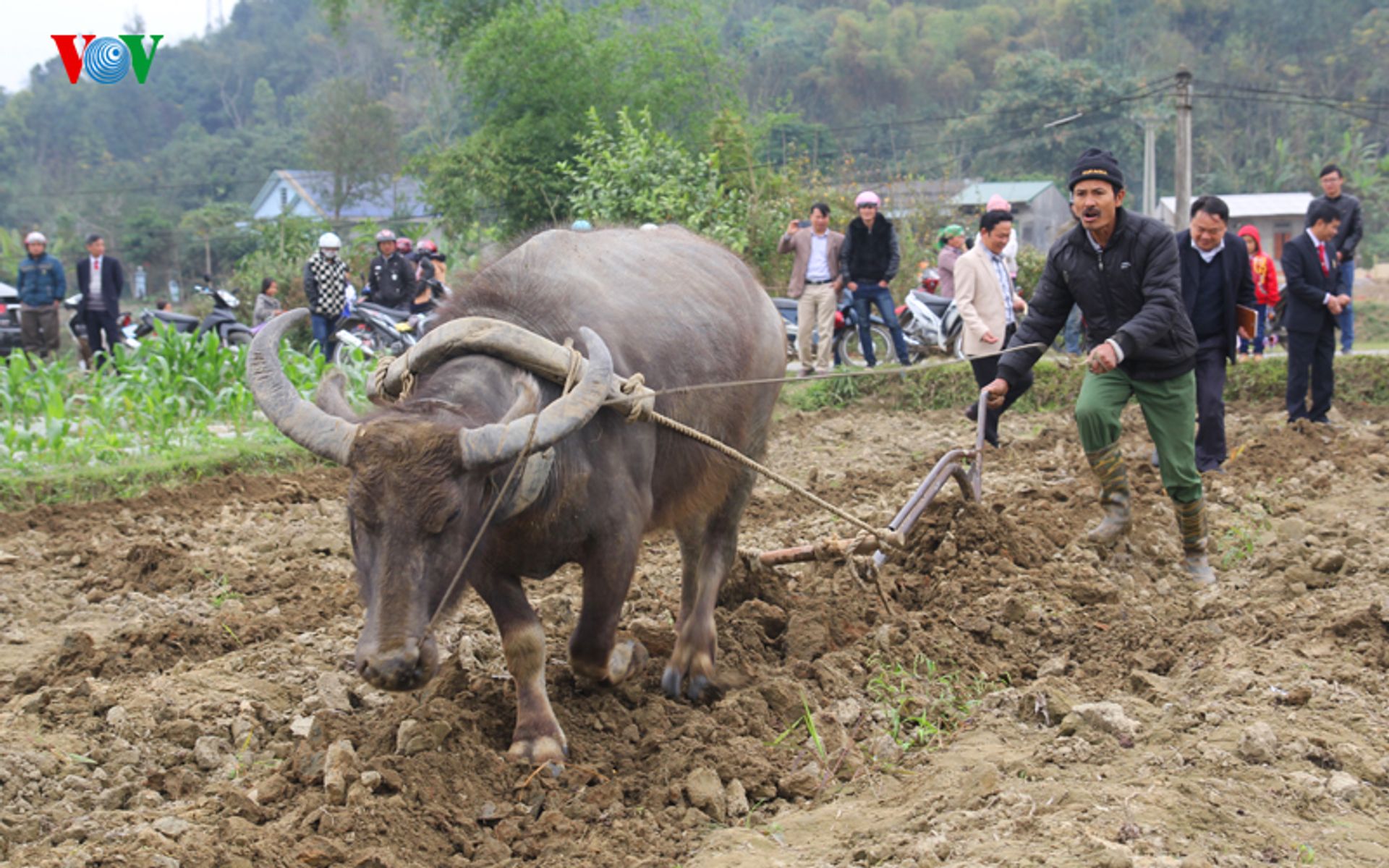 Sapa có gì hay? Top 10 trải nghiệm không thể bỏ qua | Justfly.vn