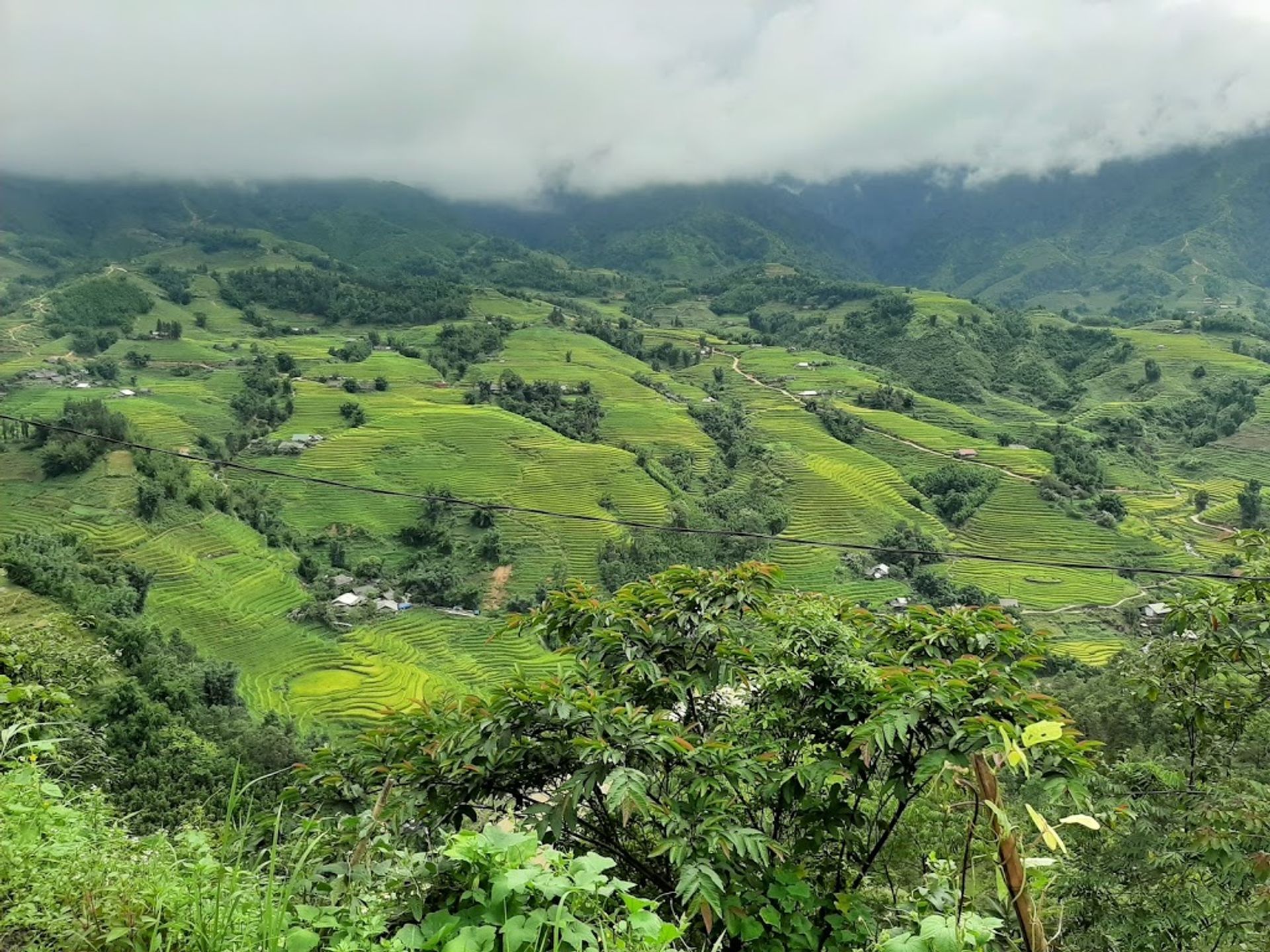 Bản Ý Linh Hồ - Vùng đất hoang sơ xinh đẹp tại xứ sở sương mù | Justfly.vn