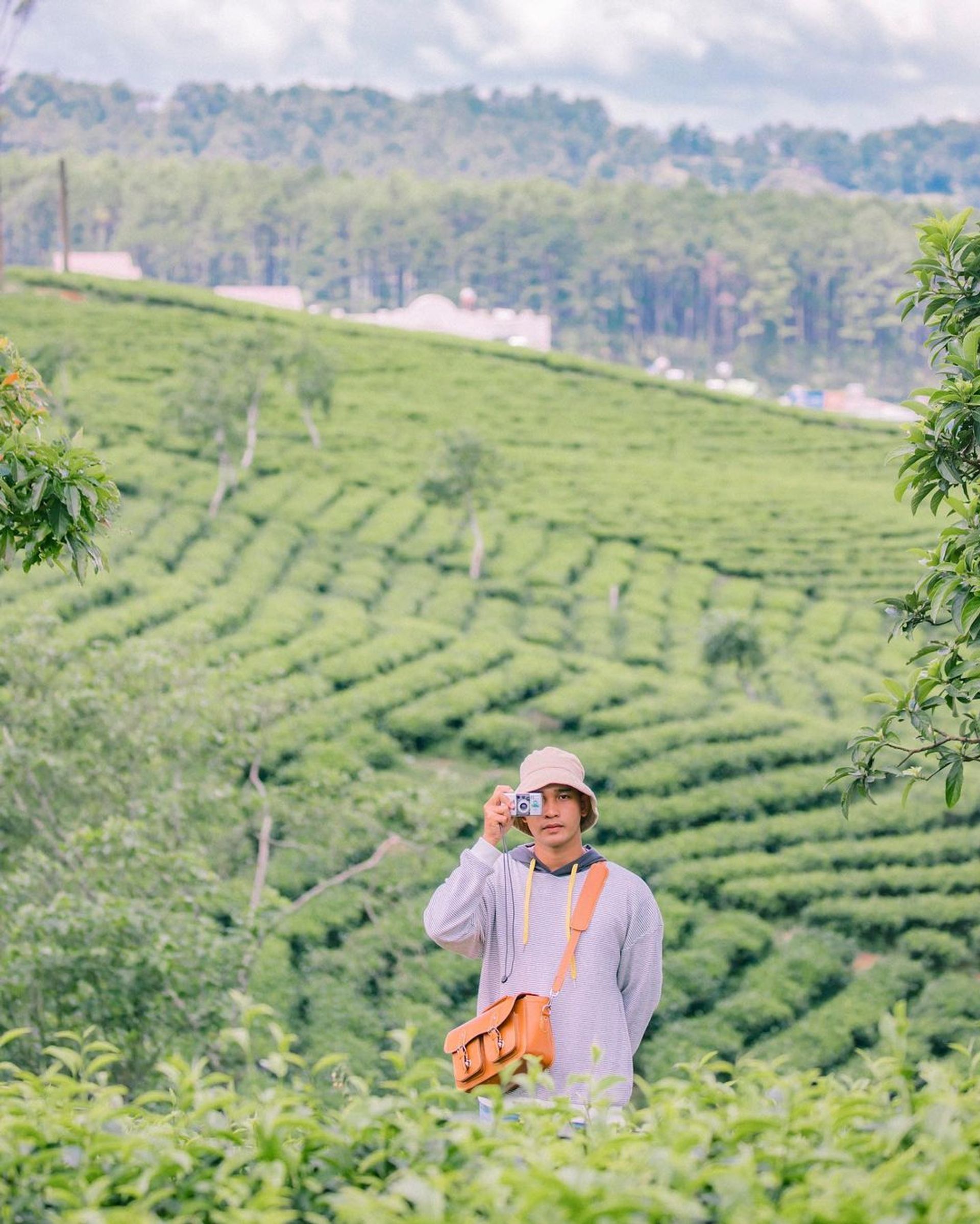 Khám phá Đồi chè Cầu Đất Đà Lạt - Điểm du lịch hấp dẫn | Justfly.vn