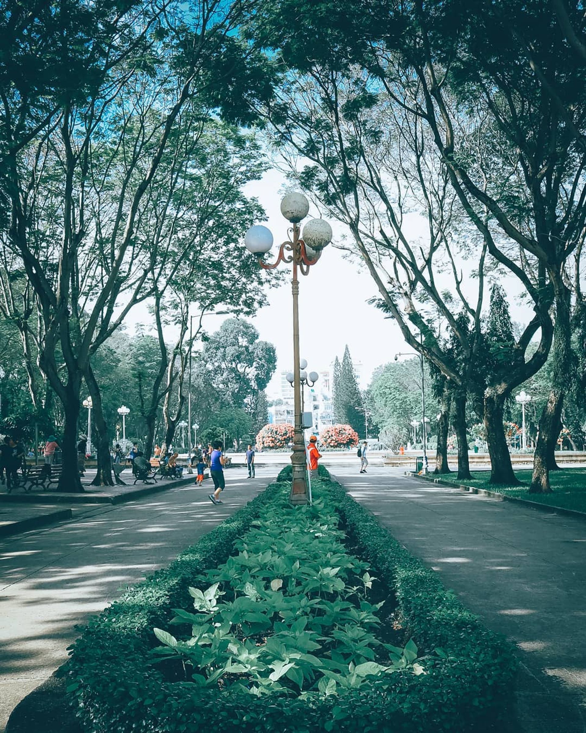 Công viên Lê Văn Tám - Không gian xanh giữa lòng Sài Gòn | Justfly.vn