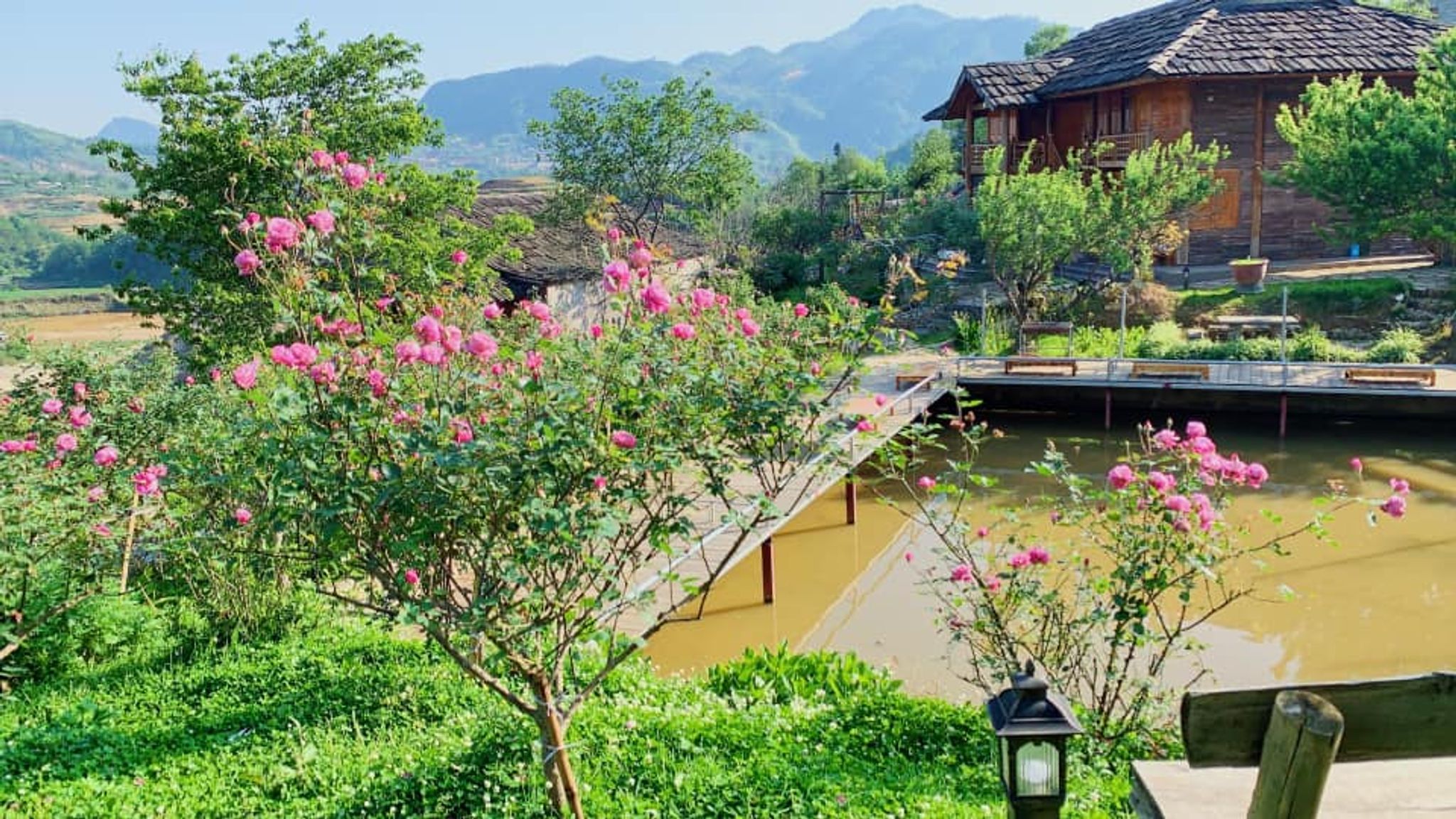 Rose Farm Homestay - Vườn hồng thơ mộng giữa núi rừng bạt ngàn Tây Bắc ...
