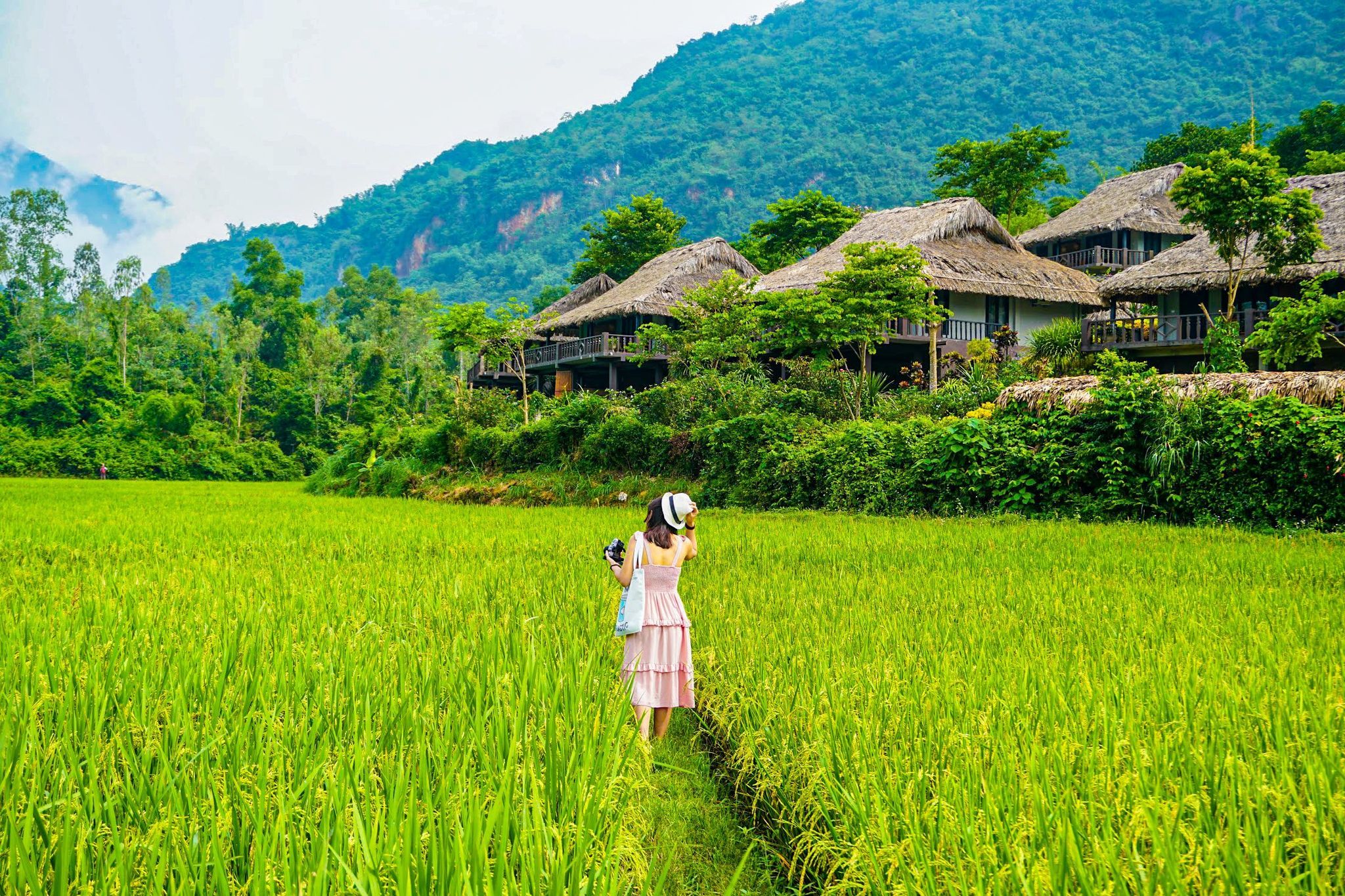 Khám phá du lịch Mai Châu | Justfly.vn