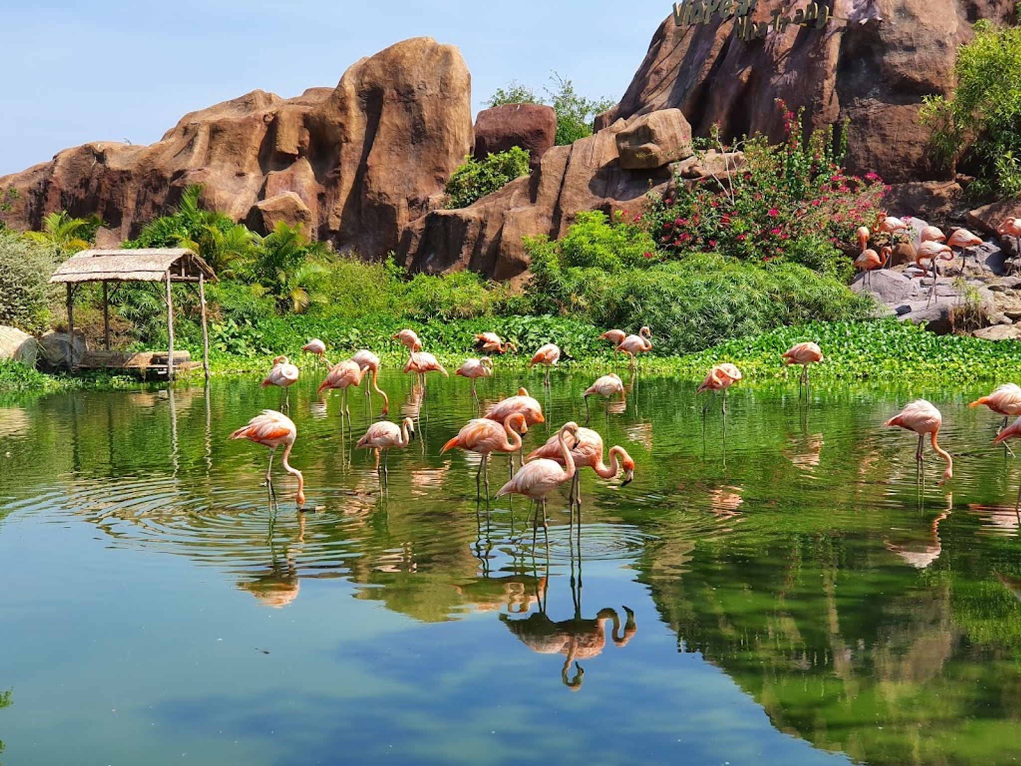 Top 11 đảo Nha Trang đẹp hút hồn du khách | Justfly.vn