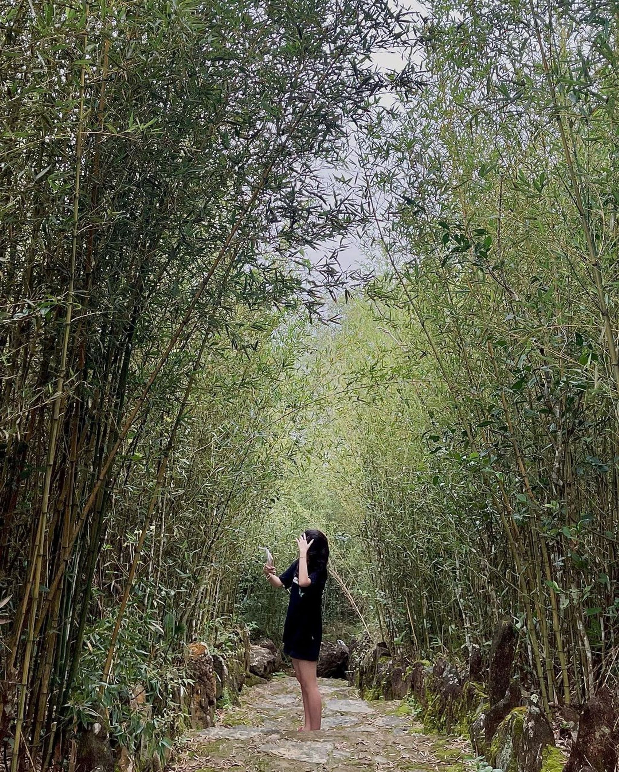 Khám phá Chùa Linh Quy Pháp Ấn: kinh nghiệm du lịch A - Z | Justfly.vn