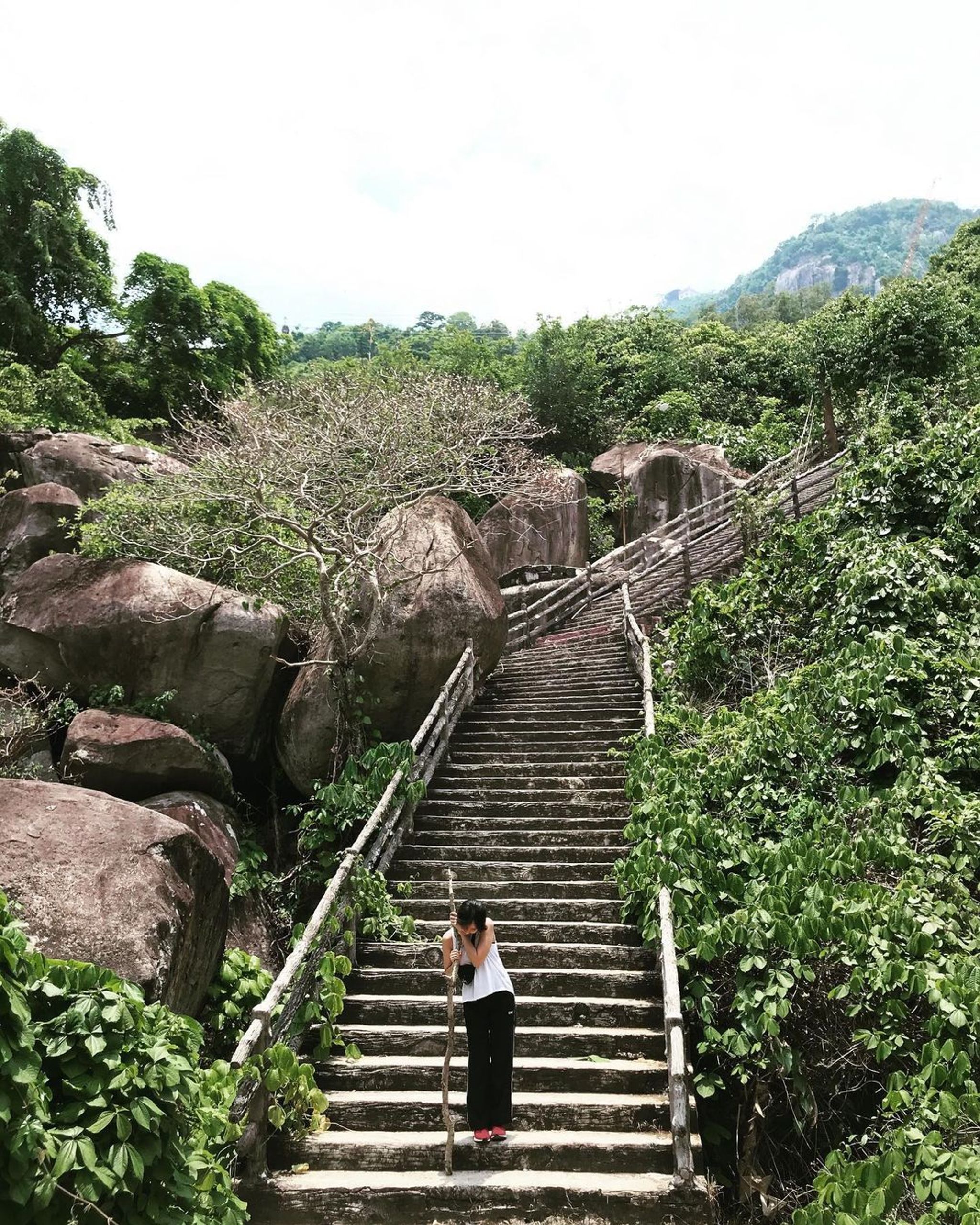 Kinh nghiệm du lịch Núi Bà Đen tất tần tật từ A - Z | Justfly.vn