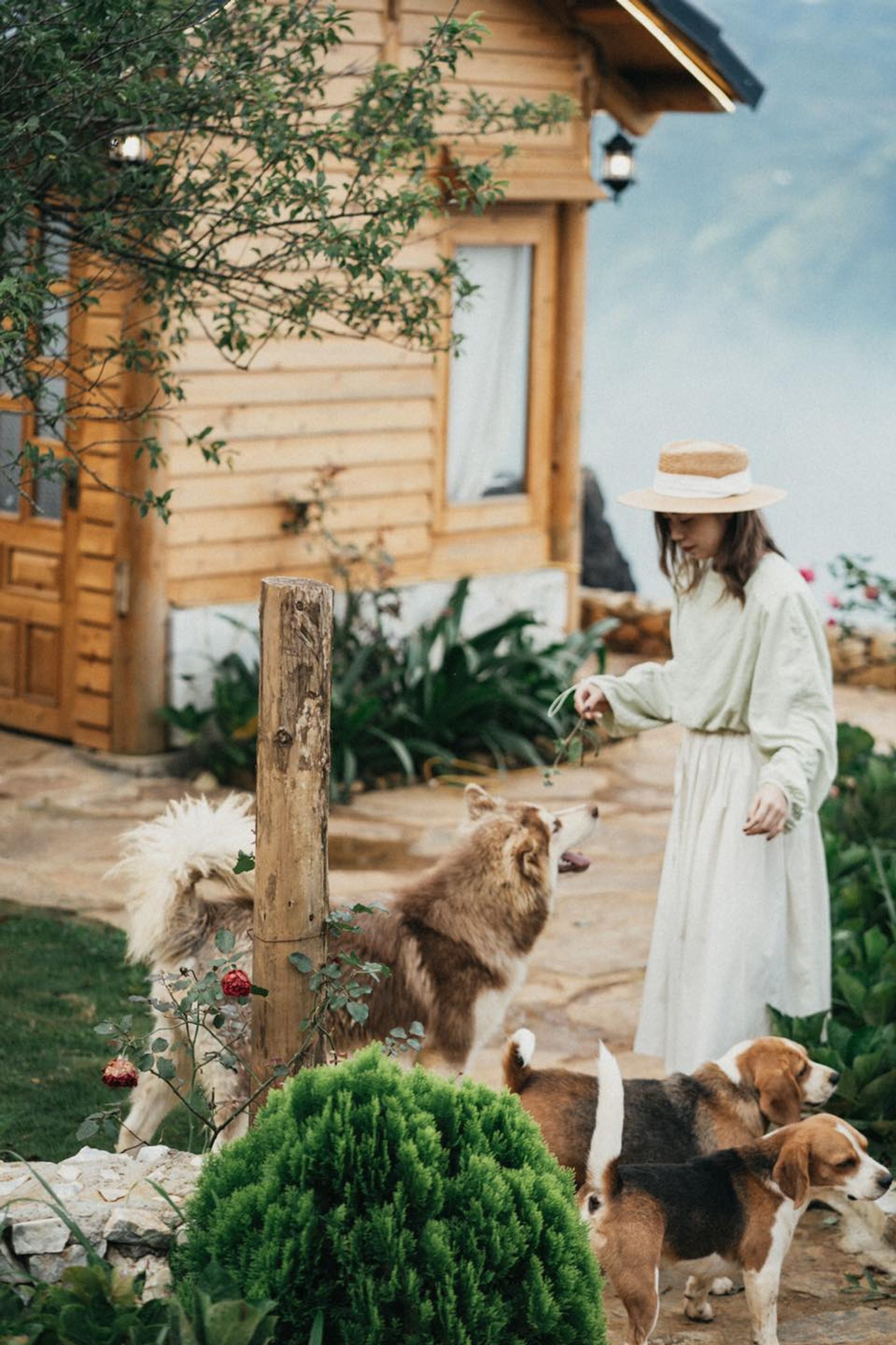 Rock Garden Sapa Homestay – Vẻ đẹp lung linh giữa những áng mây Tây Bắc ...