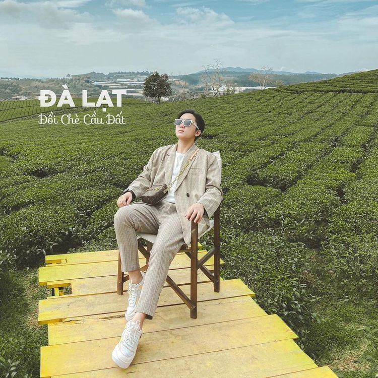 Khám phá Đồi chè Cầu Đất Đà Lạt - Điểm du lịch hấp dẫn | Justfly.vn